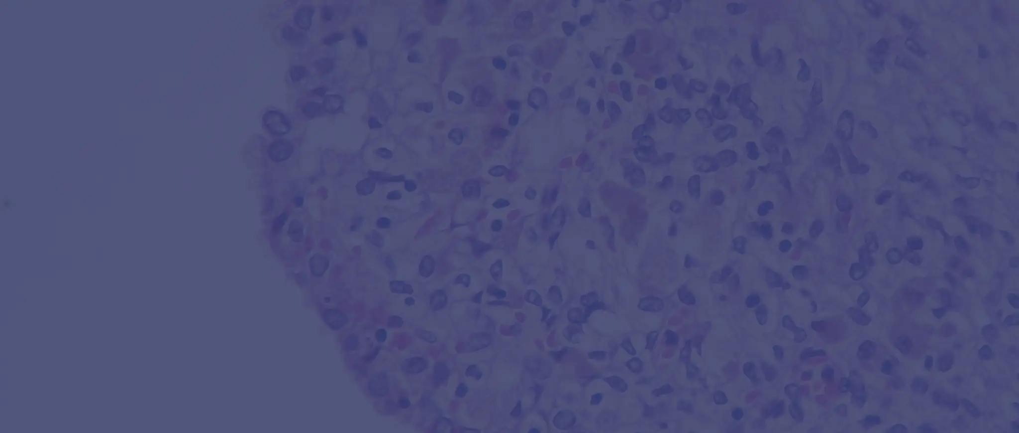 The Center for Innovative GYN Care | CIGC - https://innovativegyn.com